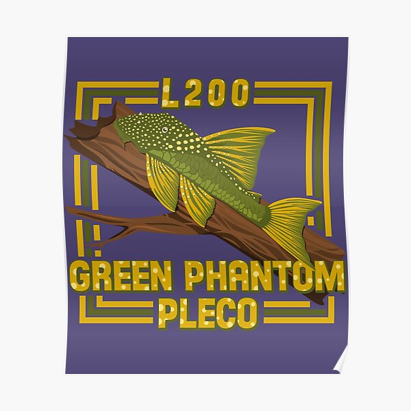 "Green Phantom Pleco L200 Suckermouth Pleco Aquarium Fish Merch" Poster ...