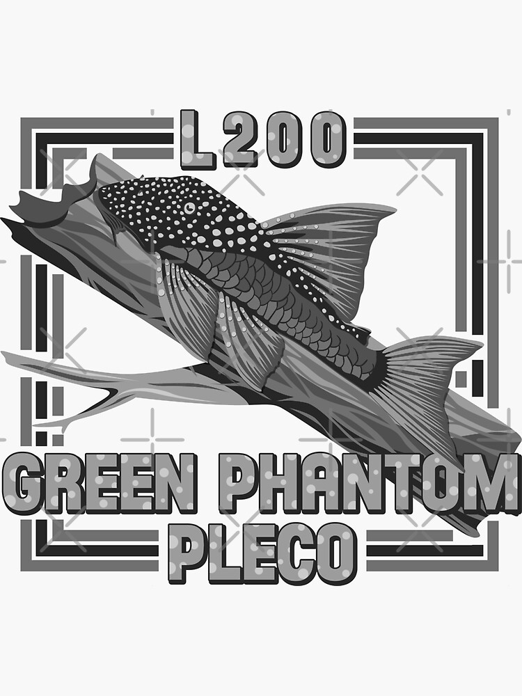 "Green Phantom Pleco L200 Suckermouth Pleco Aquarium Fish Merch b/w ...