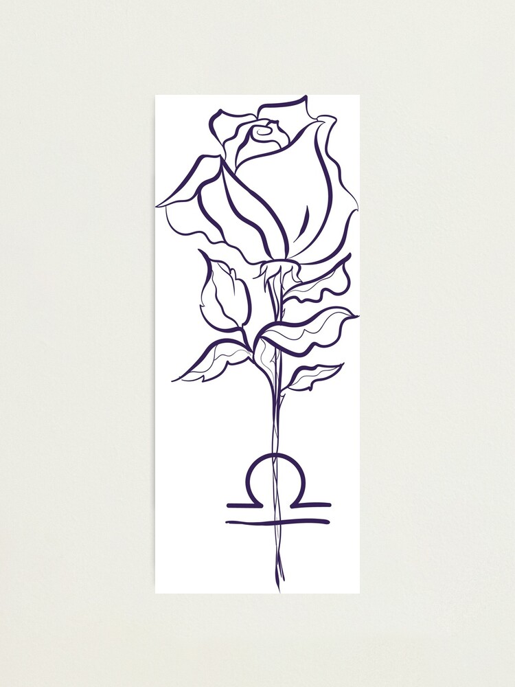 Lámina fotográfica «Libra Rosa blanca | Signo del zodiaco | Simbolismo ...