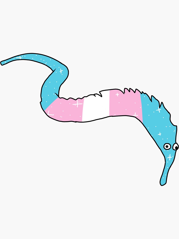 "Trans pride worm" Sticker for Sale by Zaanimations | Redbubble