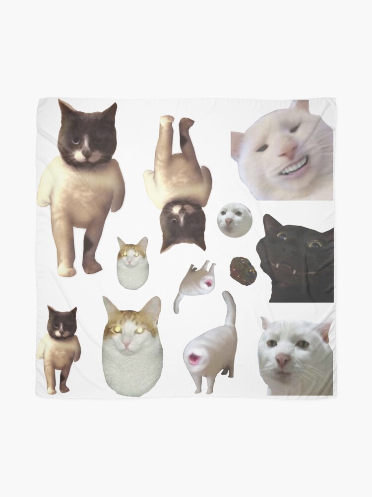 "Pack of 12 Cat Memes Sticker Combo - MORE Obscure Cursed Cat Memes 2 ...