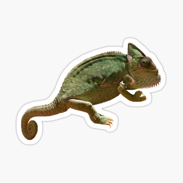 "mr. rango" Sticker by phoebe25 | Redbubble
