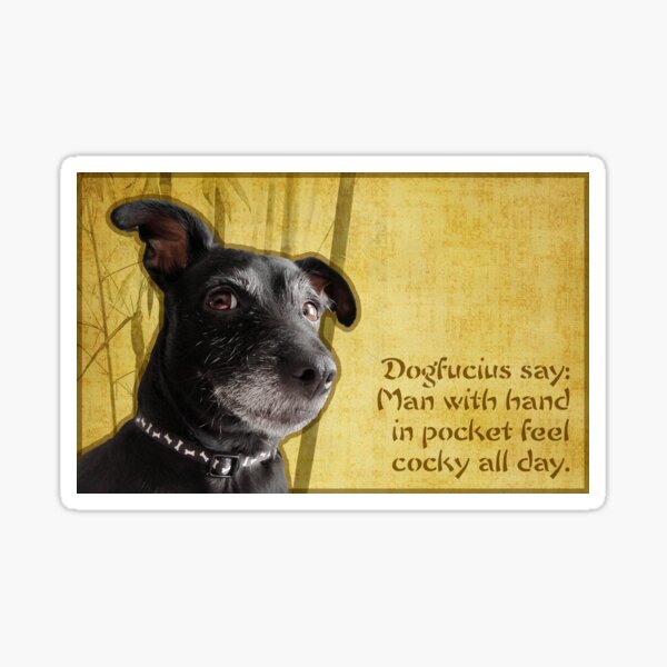 "Dogfucius say: Man with hand in pocket feel cocky all day." Sticker by ...