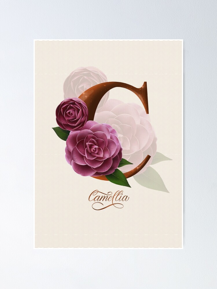 "C letter. Camellia. Flower alphabet." Poster for Sale by ...