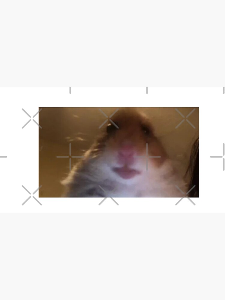 "Hamster Staring Meme" Poster for Sale by Mattred27 | Redbubble