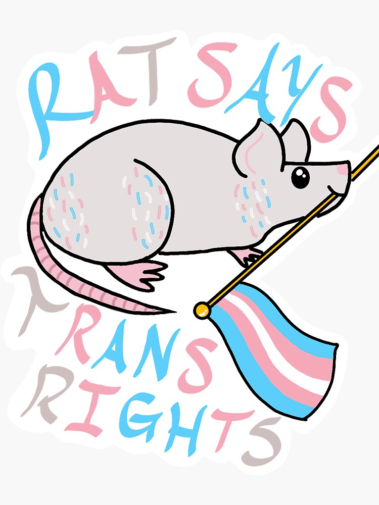 "Rat says Trans Rights Silhouette background " Sticker by gay-teen ...