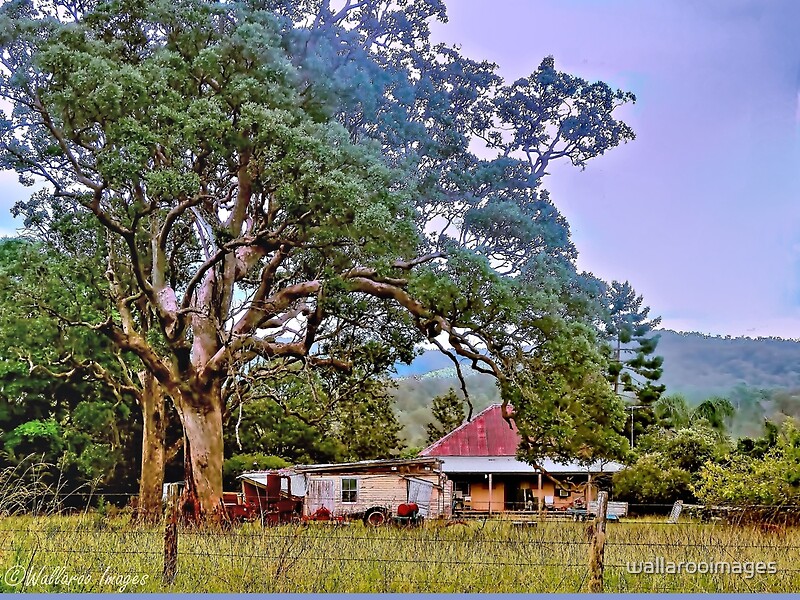 "Home Among The Gum Trees" by wallarooimages | Redbubble