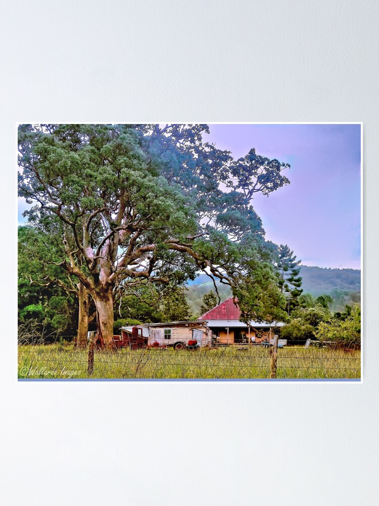 "Home Among The Gum Trees" Poster for Sale by wallarooimages | Redbubble