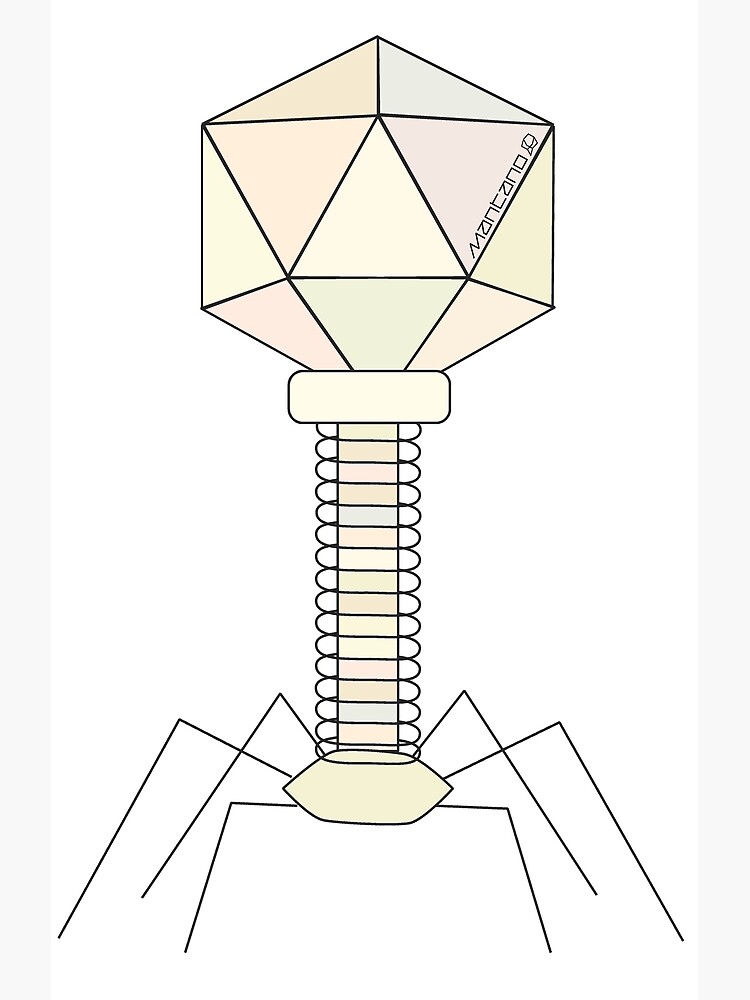 "Bacteriophage" Poster for Sale by MANTANO-Design | Redbubble