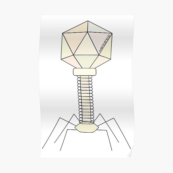 "Bacteriophage" Poster for Sale by MANTANO-Design | Redbubble