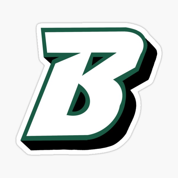 "Binghamton University" Sticker for Sale by taratumblz | Redbubble
