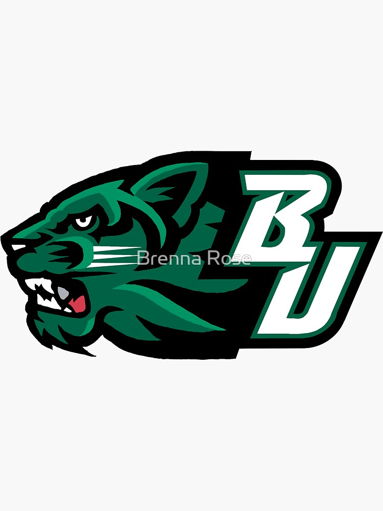 "Binghamton University" Sticker by taratumblz | Redbubble