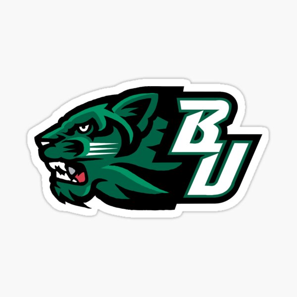 "Binghamton University" Sticker by taratumblz | Redbubble
