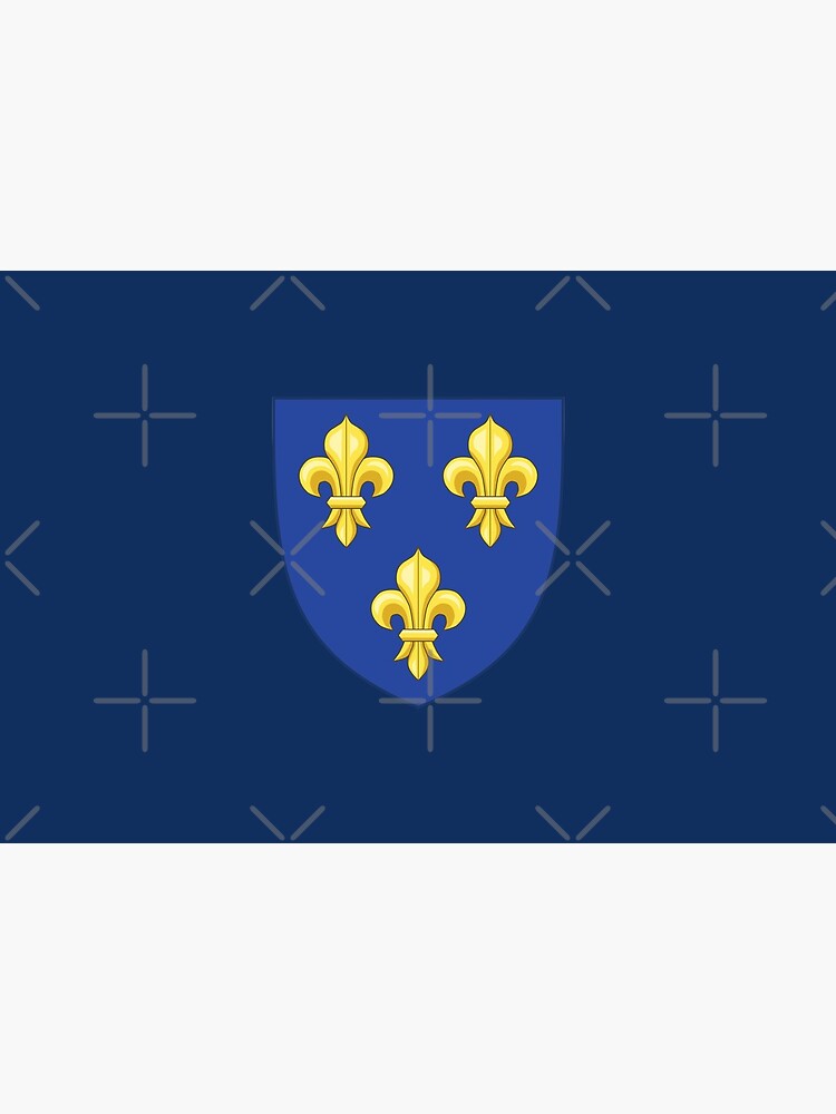 "Blason France moderne French royal golden yellow fleur de lys lis blue ...
