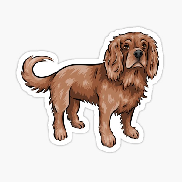 "Cute Cavalier King Charles Spaniel | Ruby | Cute Dog Art" Sticker by ...