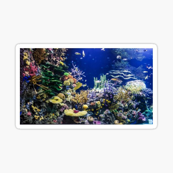 "Colourful ocean aquarium" Sticker for Sale by lena-maximova | Redbubble