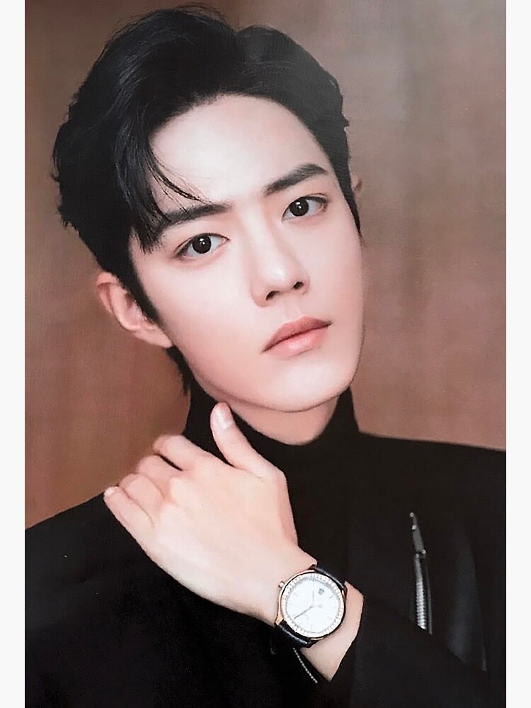 "xiao zhan model" Poster by passionbear | Redbubble