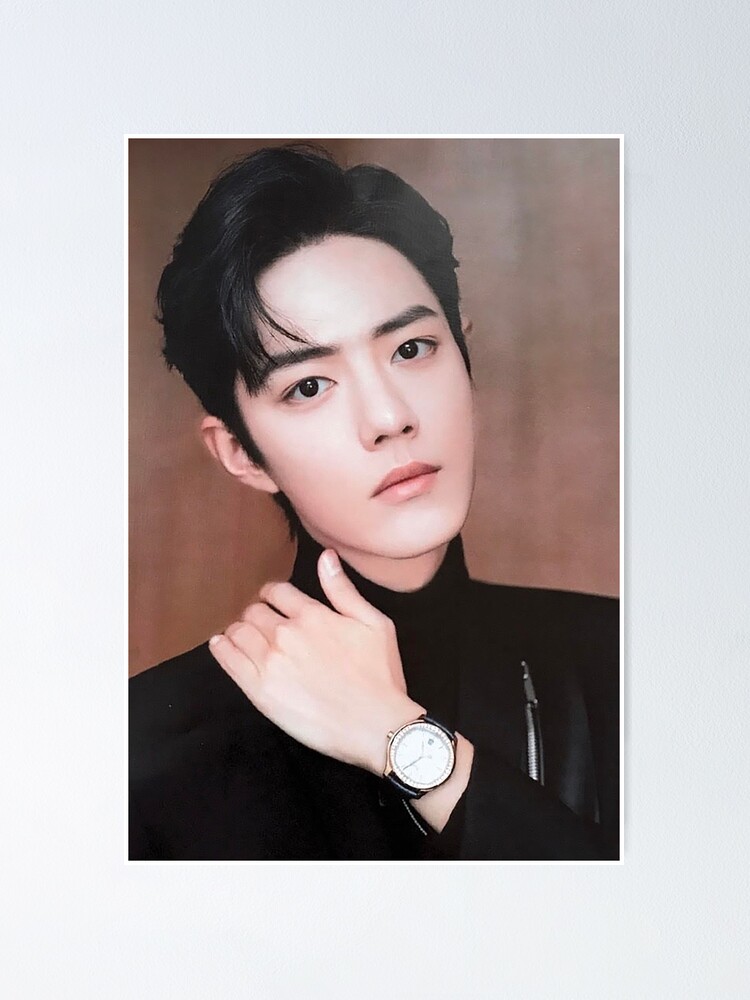 "xiao zhan model" Poster by passionbear | Redbubble