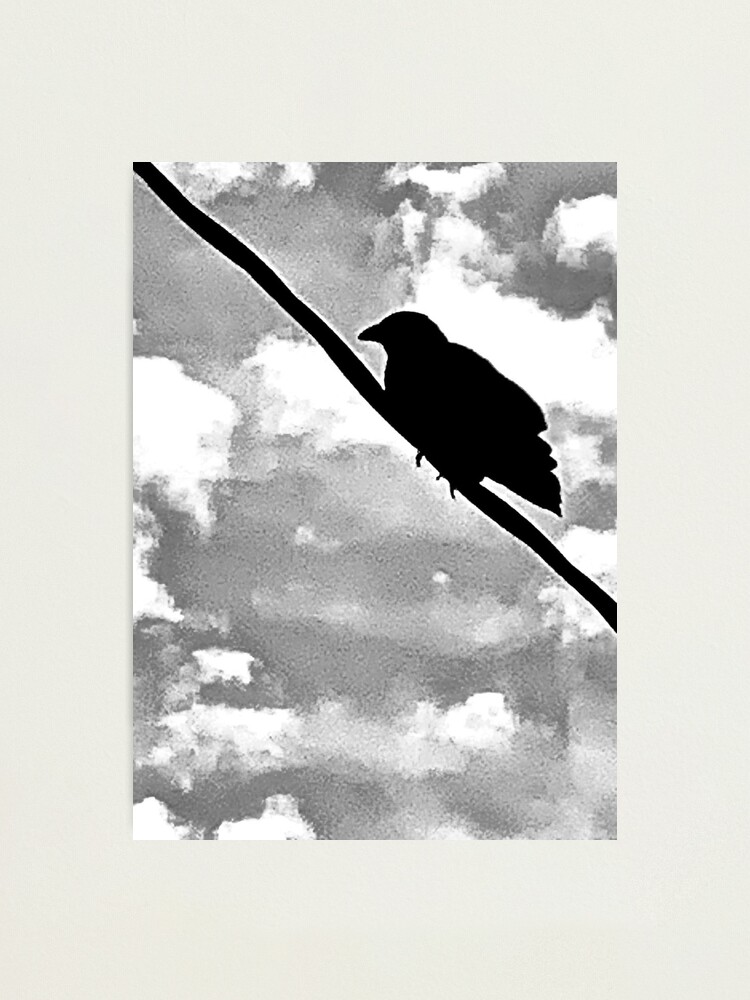 "Crow On A Wire" Photographic Print by douglasewelch | Redbubble