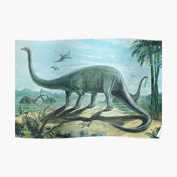"Diplodocus" Poster by lewisroland | Redbubble