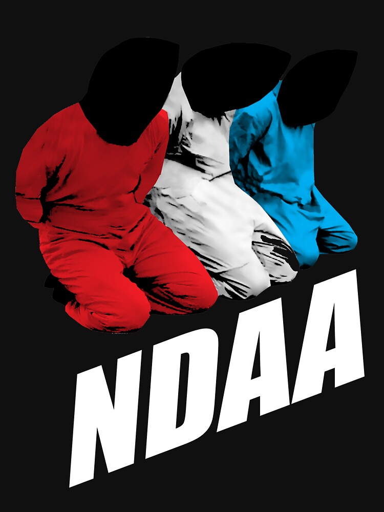 "NDAA" T-shirt for Sale by heroian | Redbubble | iraq t-shirts - bagdad ...