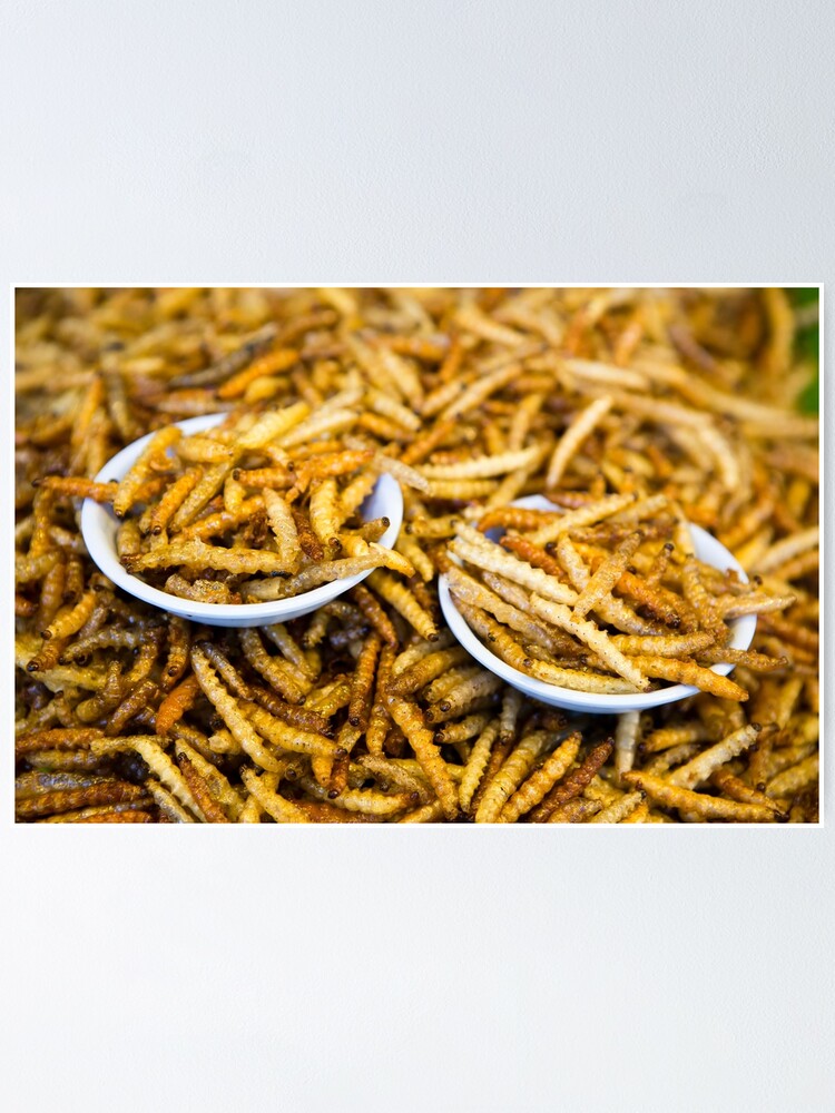"Edible Insect Food Thai Cuisine Thailand" Poster by OkanaganPhoto ...