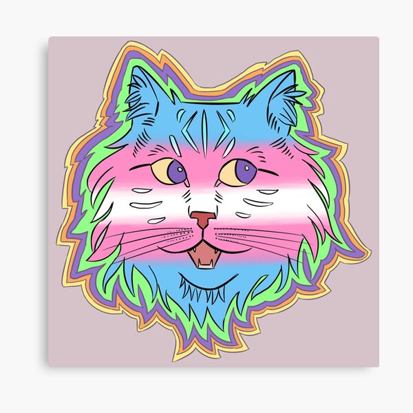 Lgbt Pride Cat Trans Flag Canvas Print By Spitscribble Redbubble