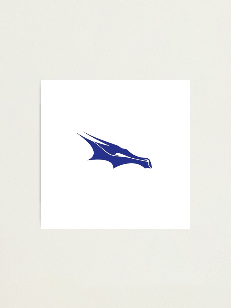 "SpaceX Dragon Capsule Logo" Photographic Print by patrickzajac | Redbubble