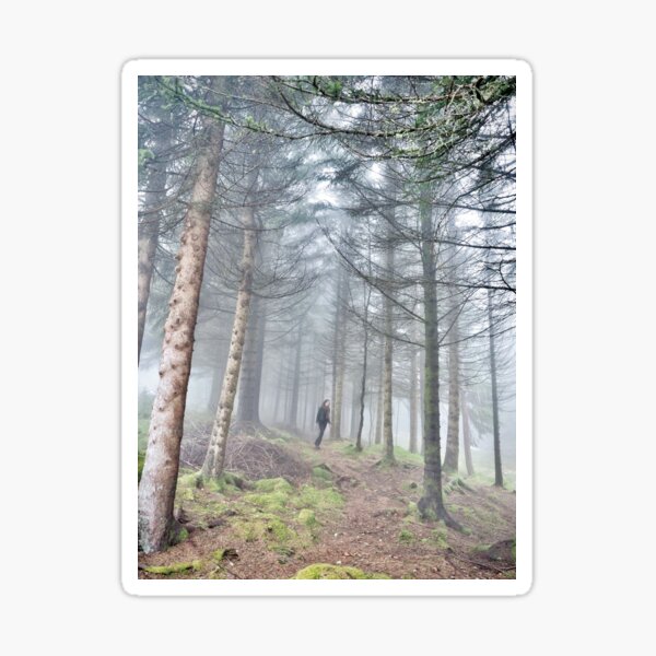 "Seek fairytale escapade in the misty woods" Sticker for Sale by yappei ...