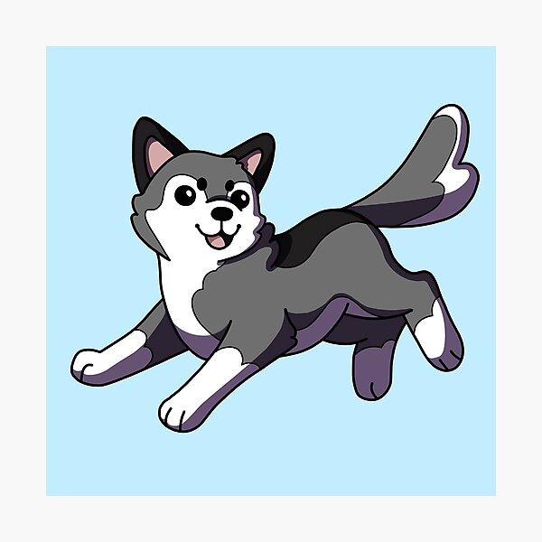 Lámina fotográfica « primero criados como perros de trineo, pero se han ...