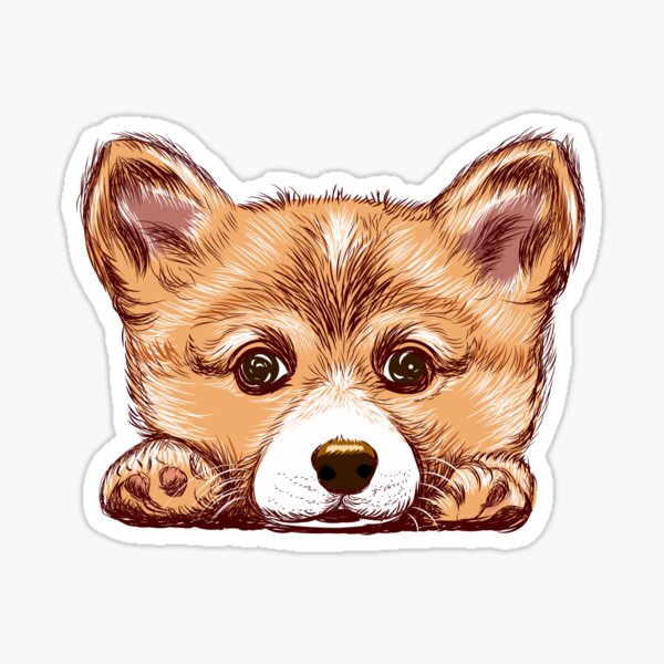 "Corgi puppy dog. Sticker on the wall. Sketch, drawn, artistic, color ...
