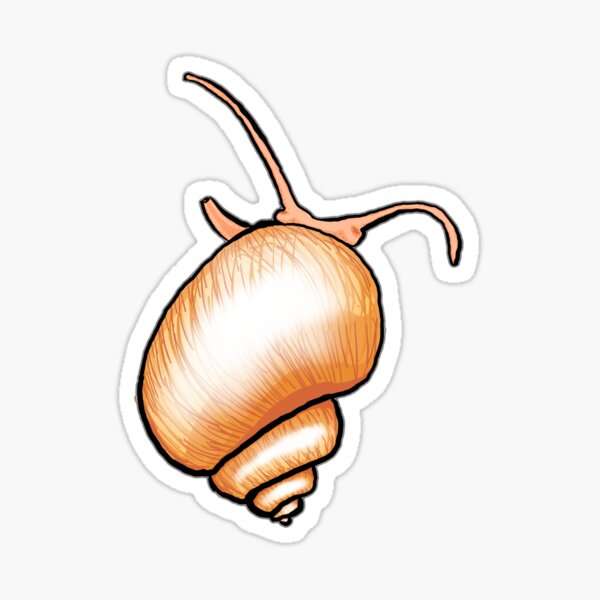 "Snaily 1" Sticker for Sale by Artsol | Redbubble