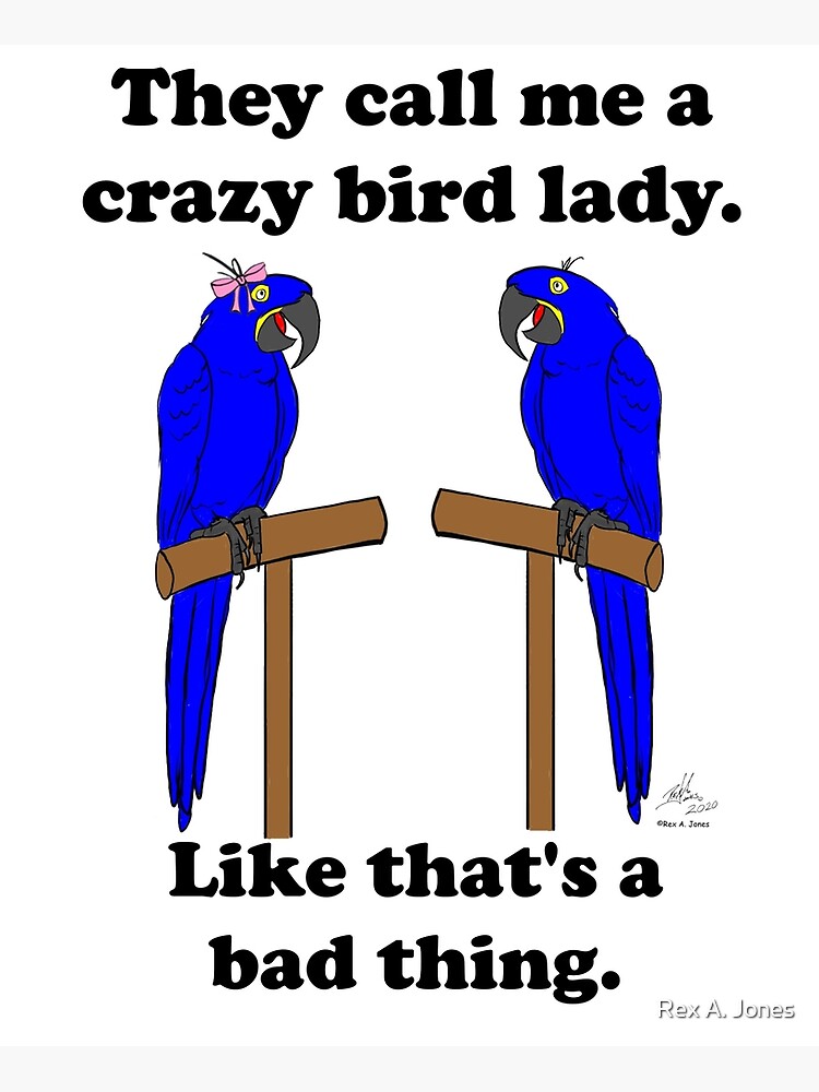 "Crazy Bird Lady with Hyacinth Macaws" Poster for Sale by Kartwonz ...