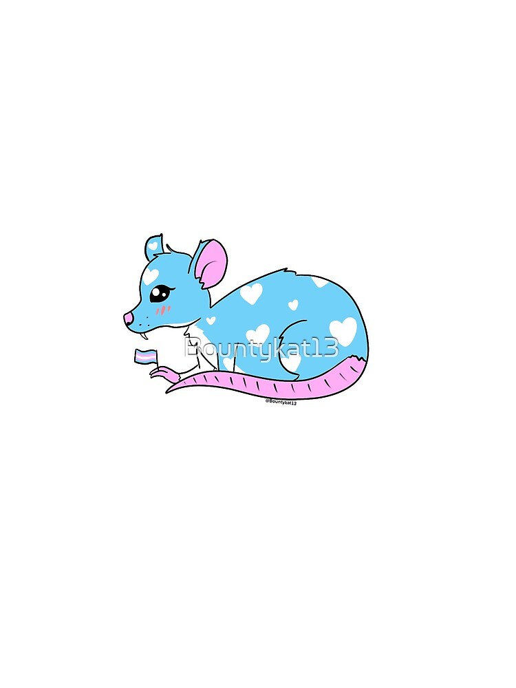 "Trans Pride Rat" Canvas Print for Sale by Bountykat13 | Redbubble