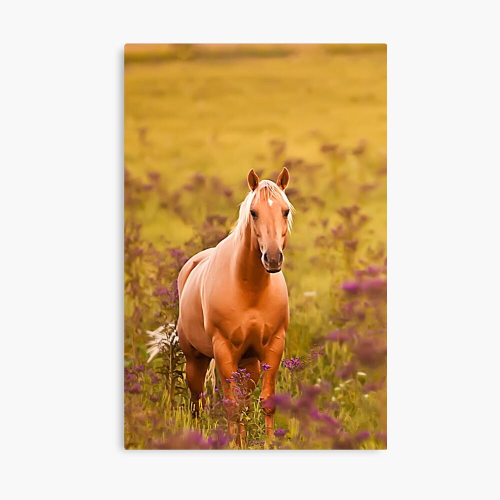 Randy Branham Shop | Redbubble