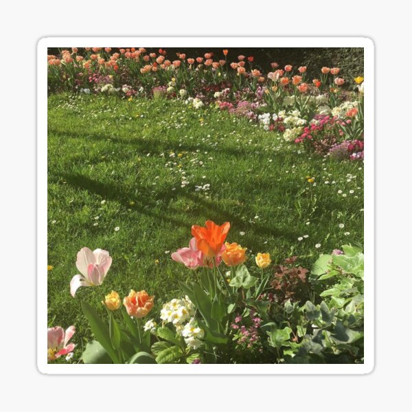 "Wildflowers In the Garden Nature Aesthetic " Sticker by Freshfroot ...