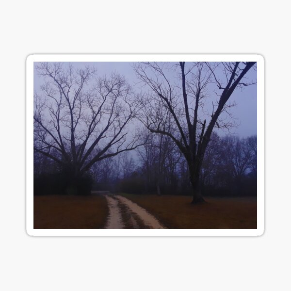 "Winter Fog" Sticker for Sale by SandylandArt | Redbubble