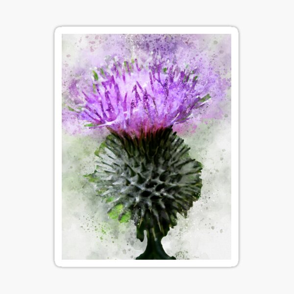 "Scottish Thistle" Sticker for Sale by scotsann | Redbubble