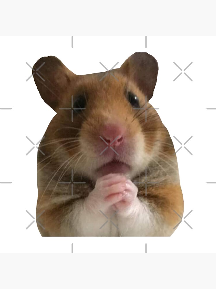 "hamster meme " Art Print by dakamu | Redbubble