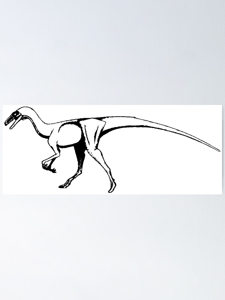 "Compsognathus dinosaur drawing" Poster for Sale by WilliamPaterson ...