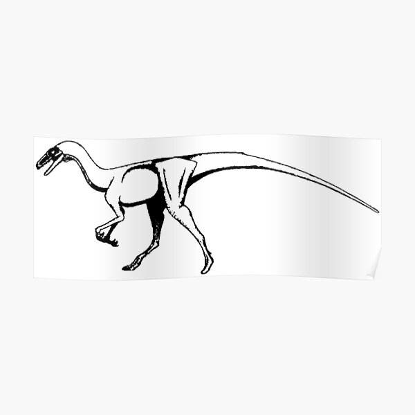 "Compsognathus dinosaur drawing" Poster by WilliamPaterson | Redbubble