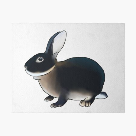 "Black Otter Rex Rabbit" Art Board Print for Sale by Lilystreet | Redbubble