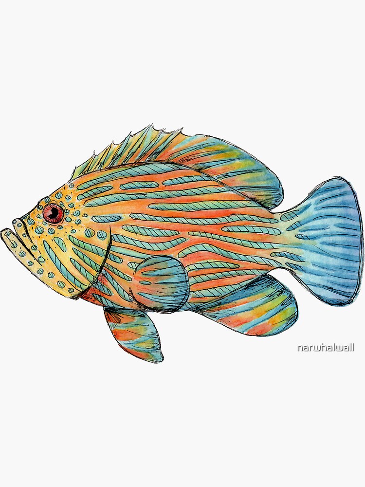"Blue Line Orange Grouper Fish in Watercolor" Sticker for Sale by ...