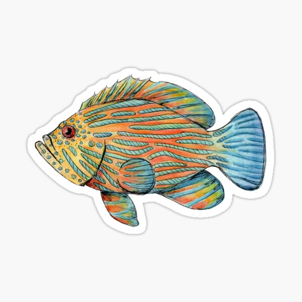 "Blue Line Orange Grouper Fish in Watercolor" Sticker for Sale by ...