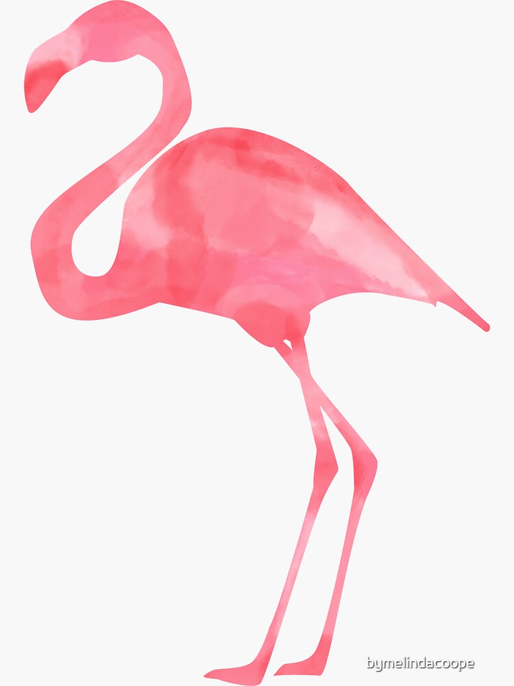 "Flamingo Sticker" Sticker for Sale by bymelindacoope | Redbubble