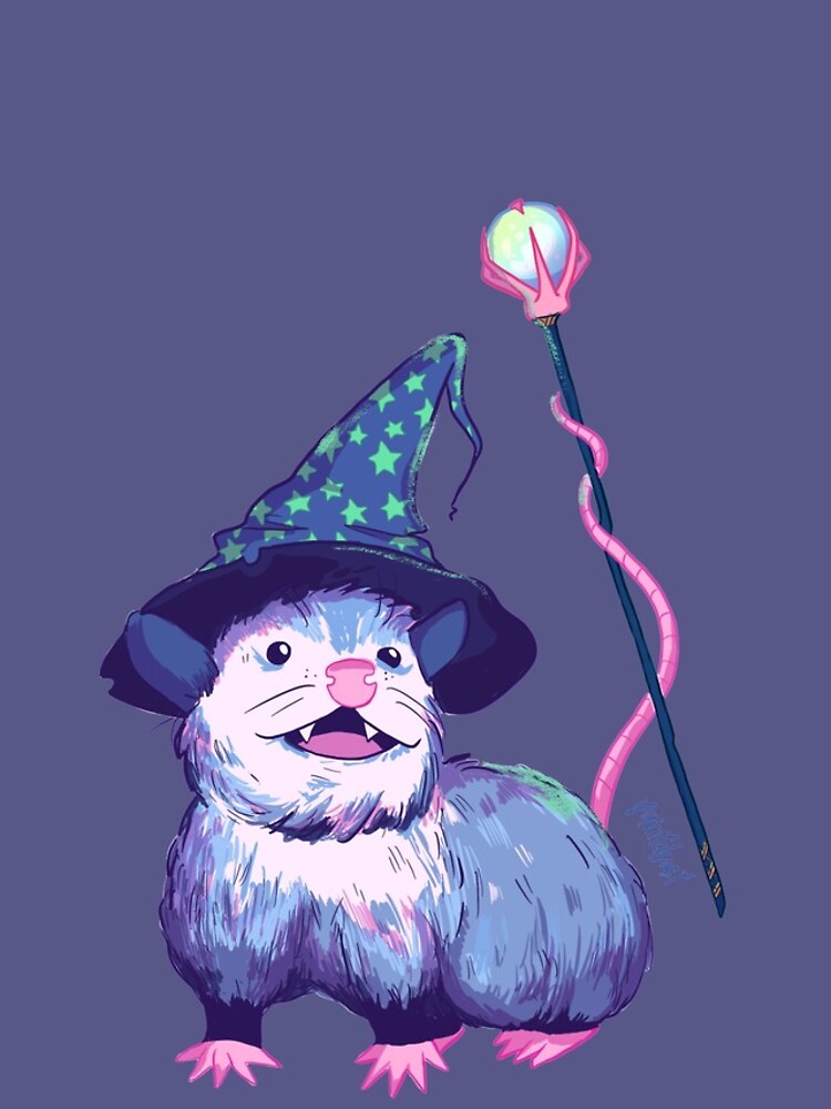 "Opossum Wizard" iPhone Case for Sale by alyjones | Redbubble