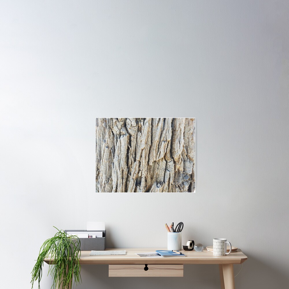 "Australian Tree Bark " Poster by glamoursaurus | Redbubble