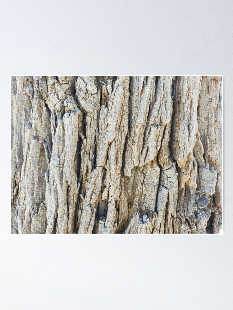 "Australian Tree Bark " Poster by glamoursaurus | Redbubble