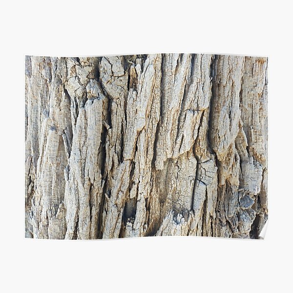 "Australian Tree Bark " Poster by glamoursaurus | Redbubble