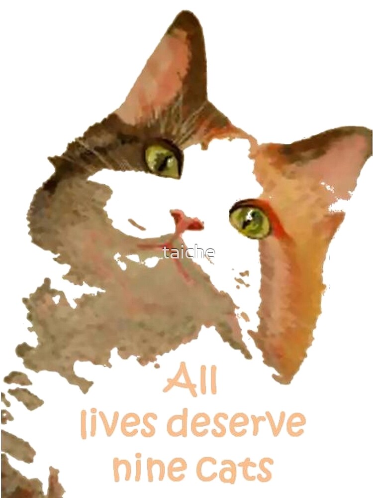 "All Lives Deserve Nine Cats" by taiche | Redbubble